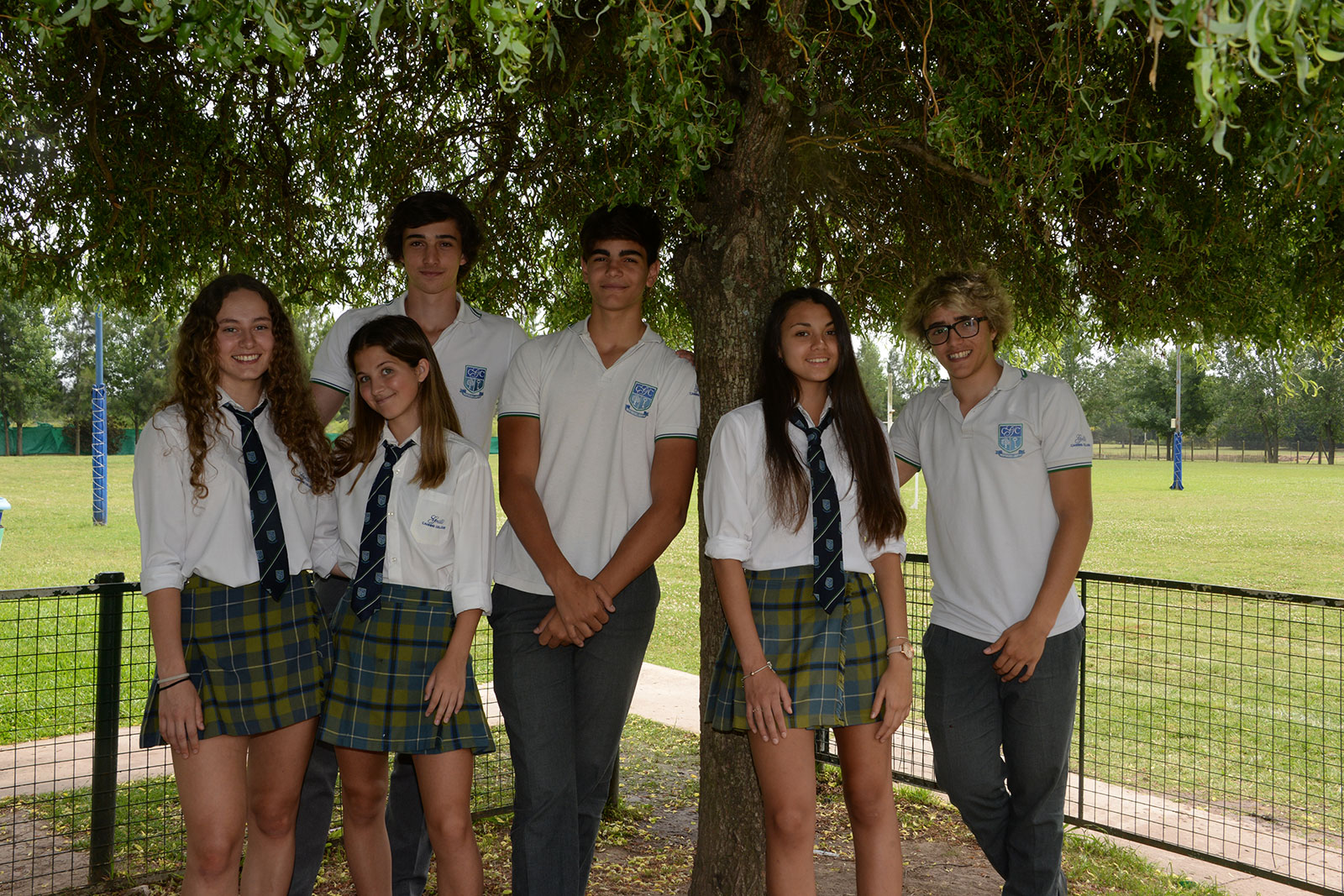 Niveles – Orientación – GCC - Grilli | Proyecto Educativo