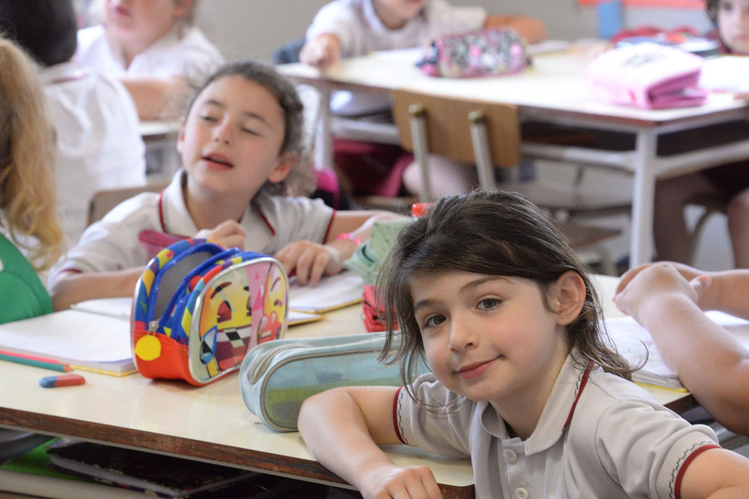 Niveles – Primario – MG - Grilli | Proyecto Educativo